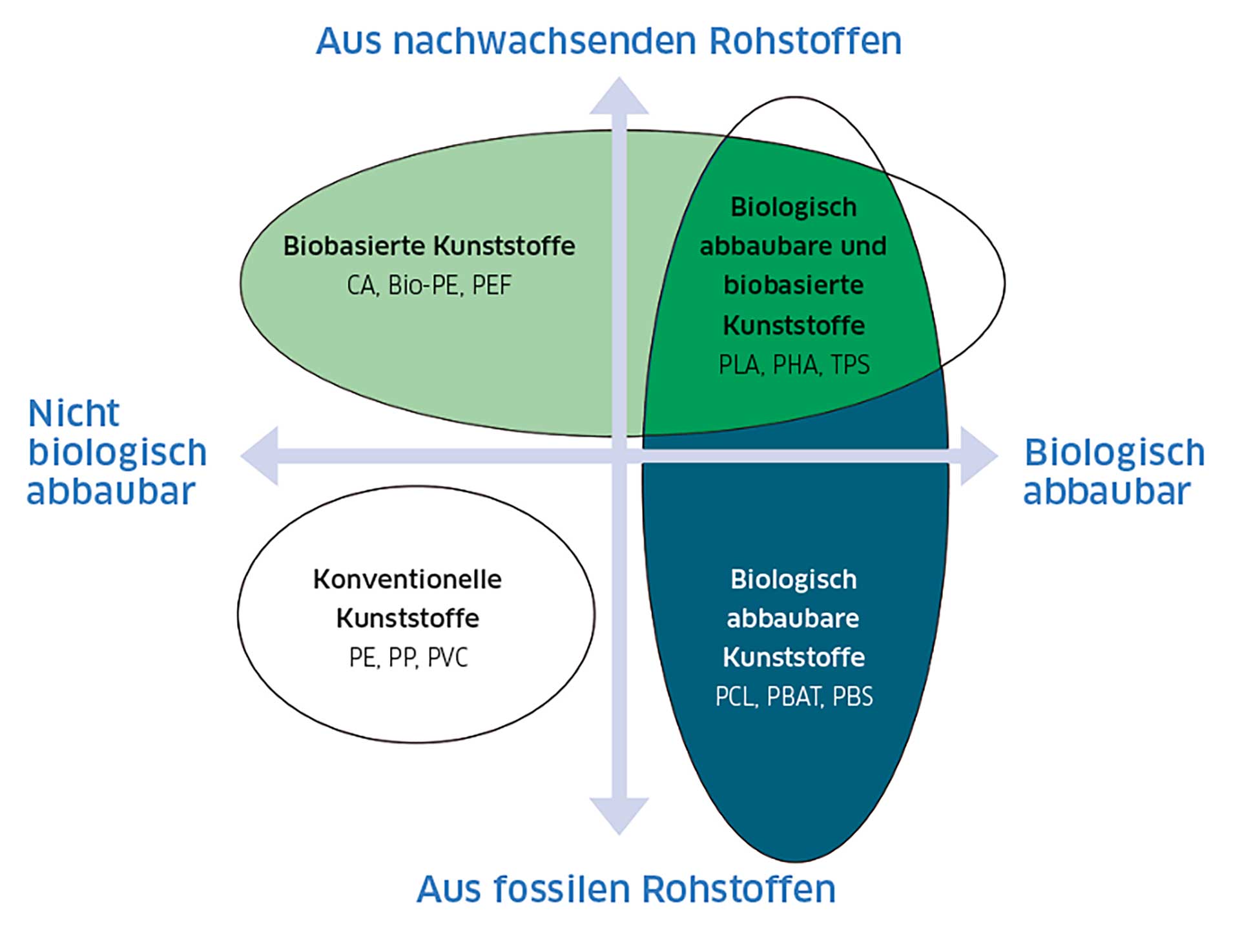 Myzel – ein natürliches Multitalent – Leseprobe - raum & zeit