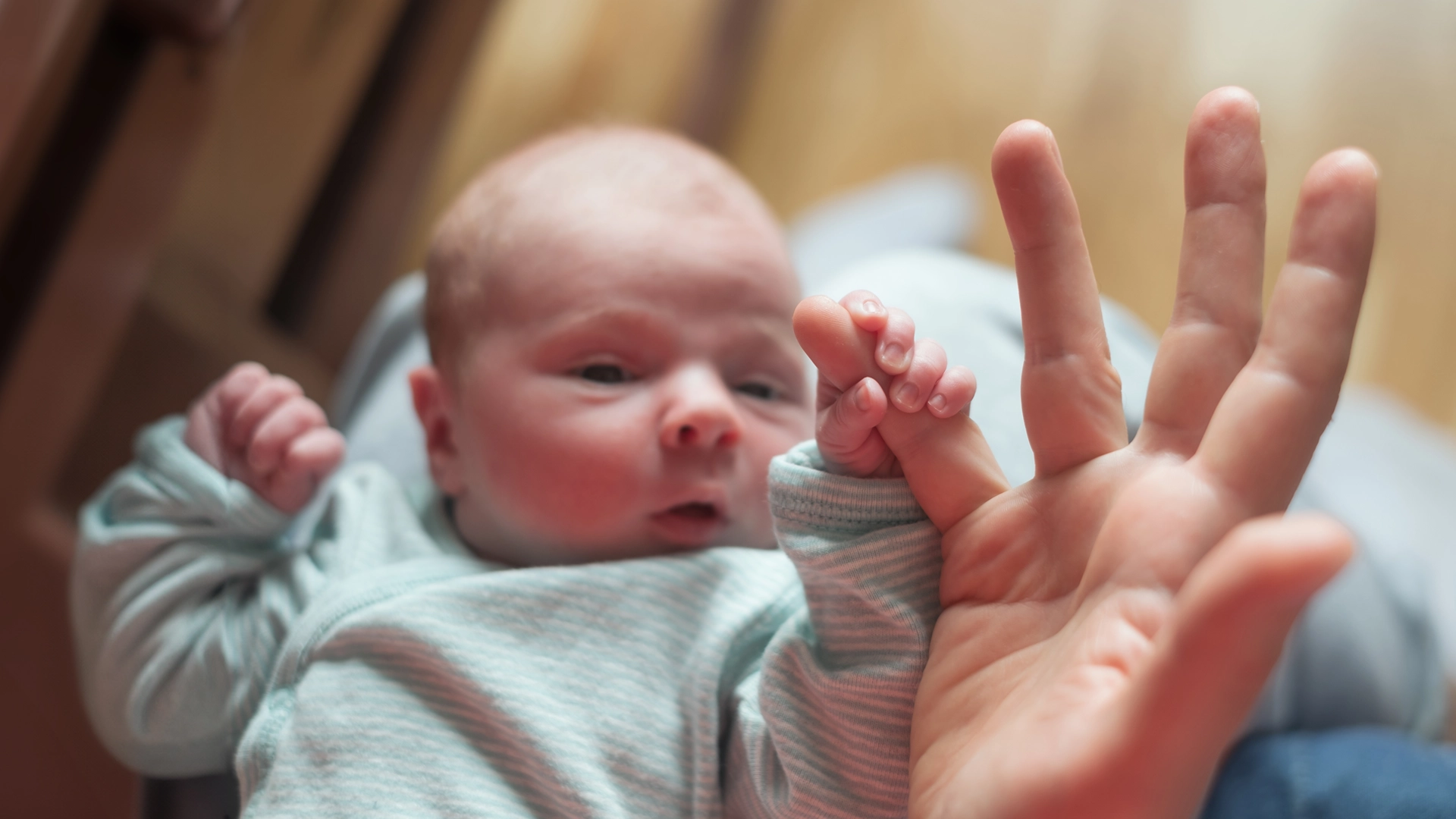 Reflexe und ihre Bedeutung fürs Leben - raum & zeit